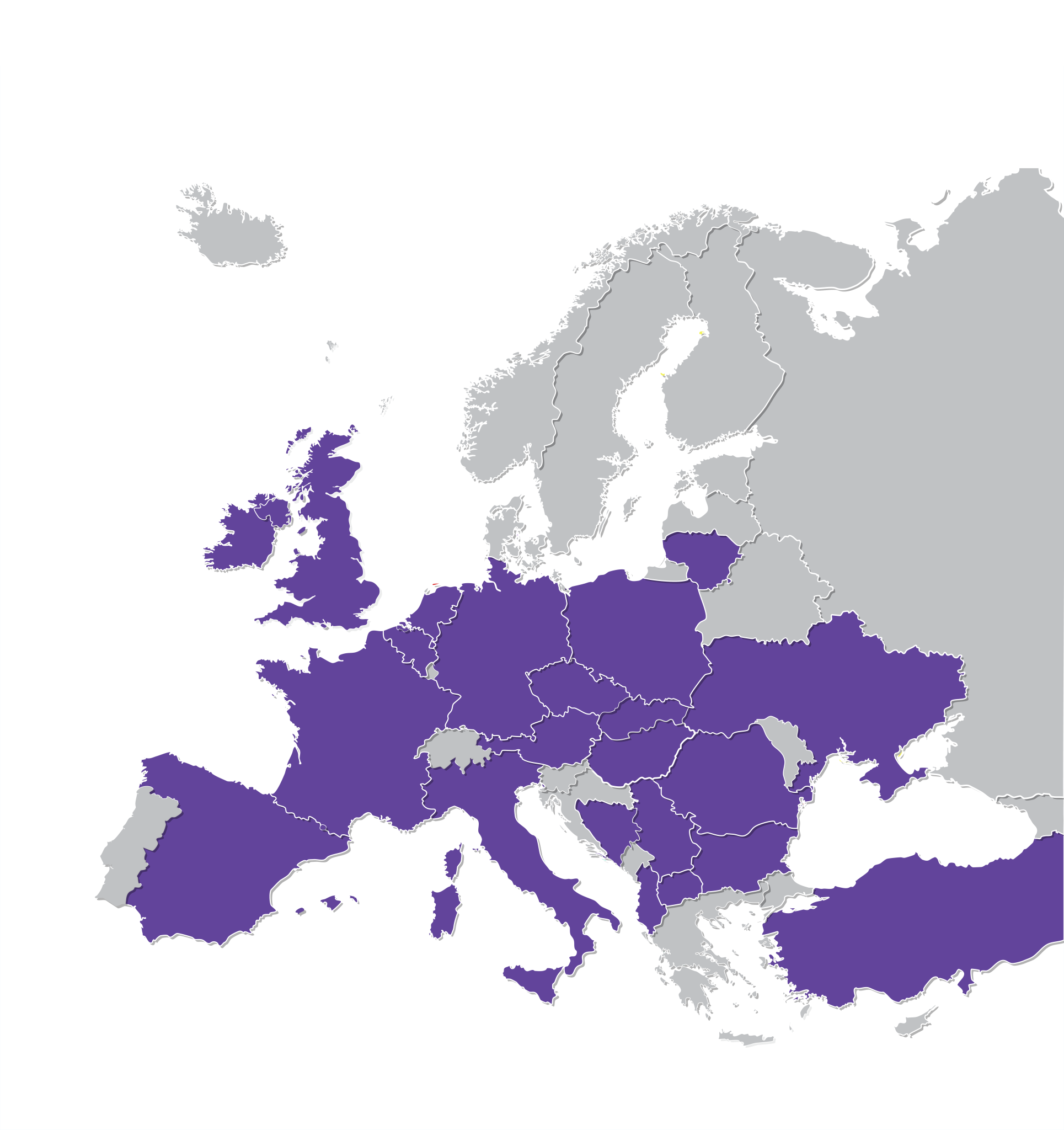 What is ERGO Network – ERGO Network